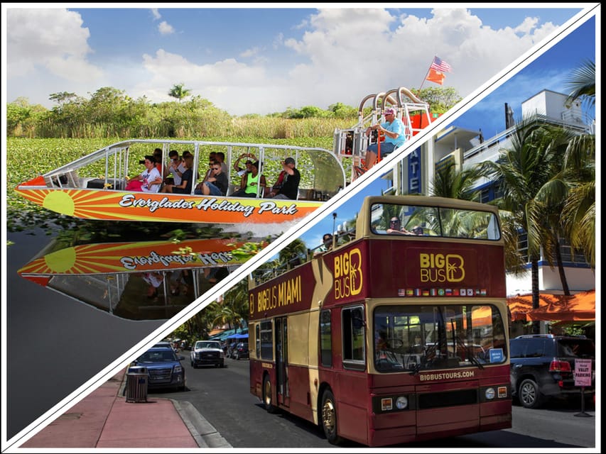 Miami: Everglades Adventure & Big Bus Hop-on Hop-off Tour - The Wildlife Show