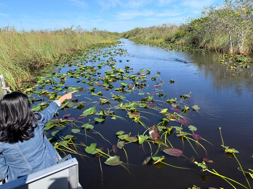 Miami: Everglades Airboat, Photo & Gator Experience - Pricing & Value