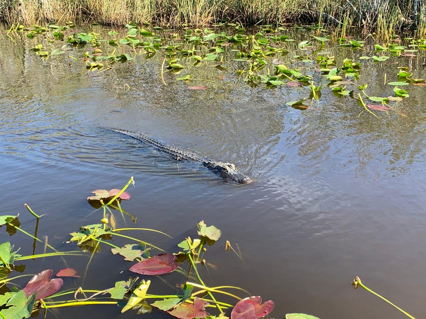 Miami: Everglades Airboat, Photo & Gator Experience - FAQs
