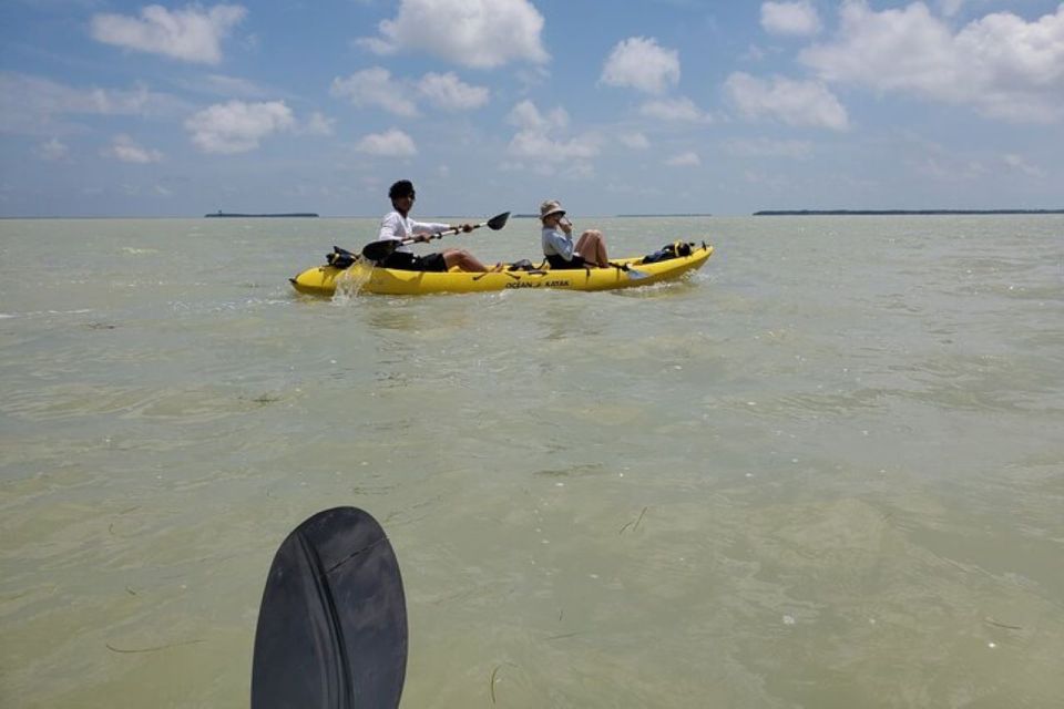 Miami: Everglades National Park Hiking and Kayaking Day Trip - A Full-Day Adventure in the Everglades: What You Can Expect