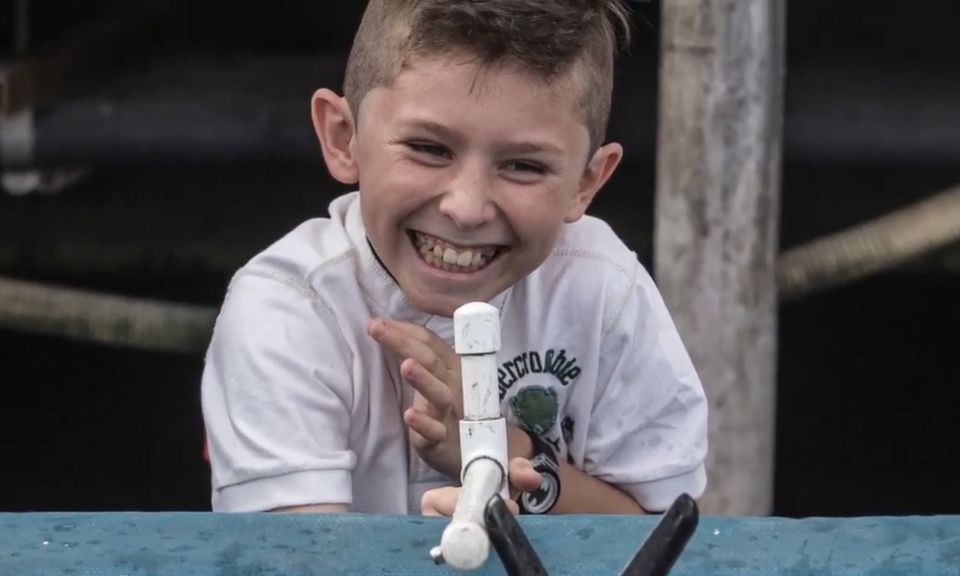 Miami: Giant Fish Feeding Experience - What is the Miami Giant Fish Feeding Experience?