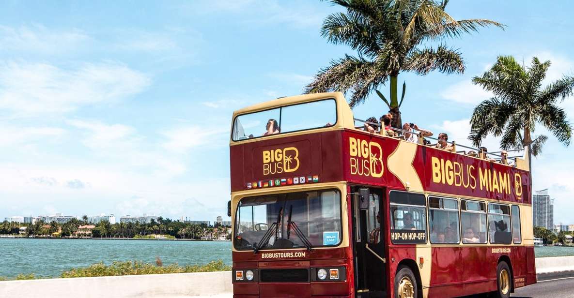 Miami: Hop-on Hop-off Sightseeing Tour with Optional Cruise - The Detailed Breakdown of the Experience