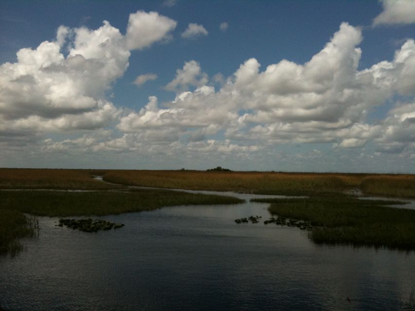 Miami: Original Everglades Airboat Tour & Alligator Exhibit - The Food & Gift Shop Experience