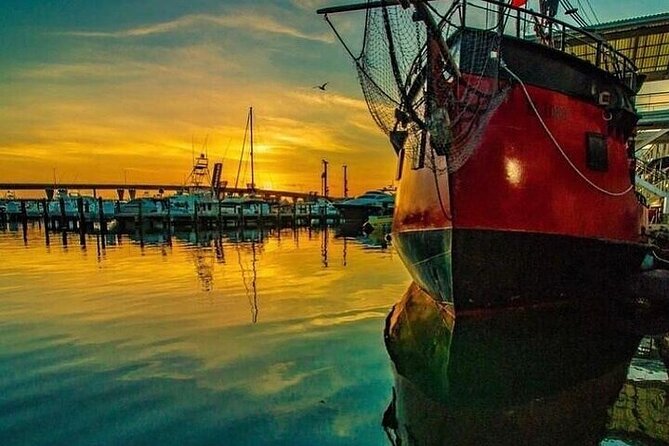 Miami Skyline Champagne Cruise - Practical Information and Tips for Your Cruise