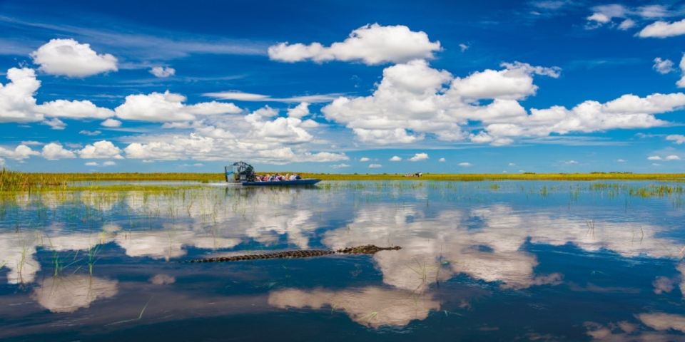 Miami: Small Group Everglades Express Tour with Airboat Ride - The Sum Up