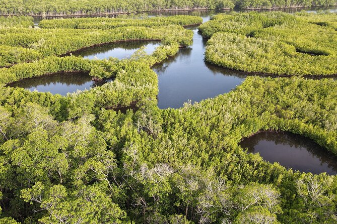 Miami Small-Group Tour with Boat Cruise + Little Havana +Wynwood - The Value of This Experience