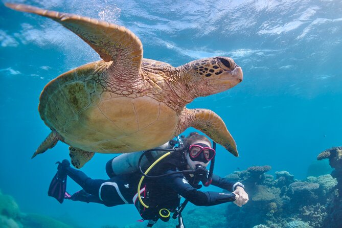 Miami Two Tank Dive Trip - Why This Tour Offers Great Value
