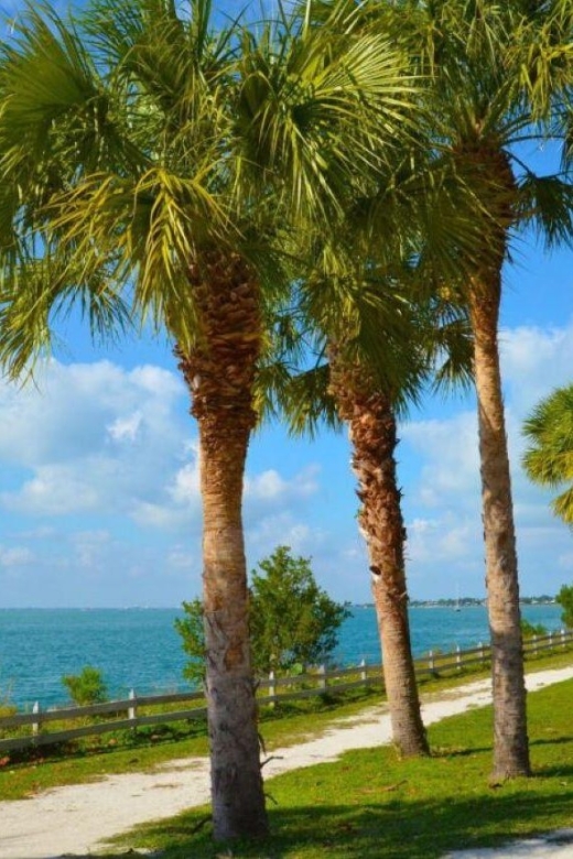 Miami: Visit to the Lighthouse - Key Biscayne - Brickell - Practical Details and Tips