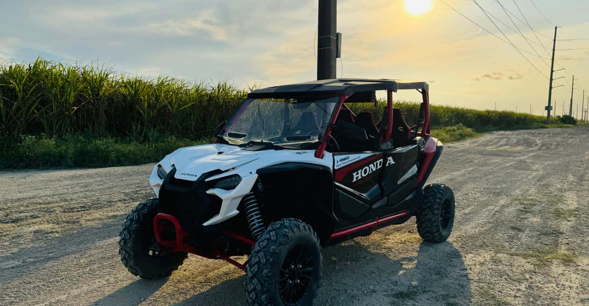 Miami's Ultimate Buggy Adventure on a Honda Talon UTV - Key Points