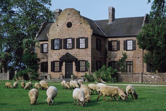 Middleton Place Plantation - 3 hour guided tour - hotel pickup - Practical Details: What You Need to Know