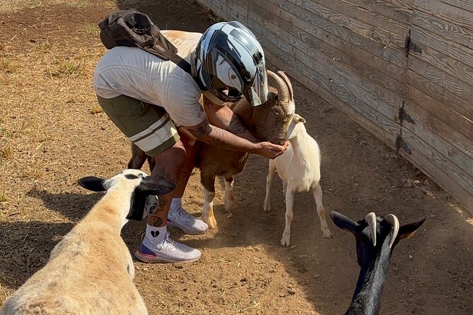 Mini ATVs and Farm Animal Experience - Who Would Love This Tour?