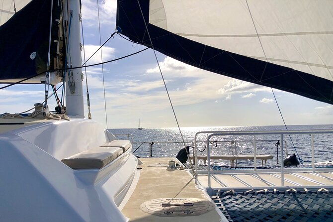 Moanas SwimnSail Cocktail Cruise Along the Waikiki Coast - The Sailing Route and Marine Life Encounters