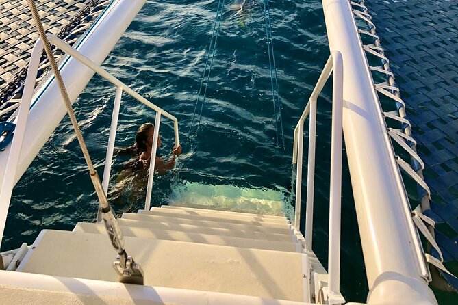 Moanas SwimnSail Cocktail Cruise Along the Waikiki Coast - Value for Money and Practical Details