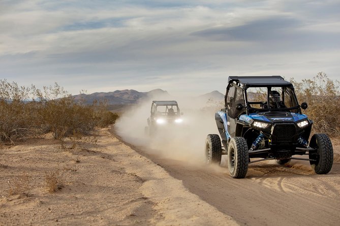 Mojave Desert Off Road RZR Tour in Las Vegas - Practical Tips for Your Mojave RZR Adventure