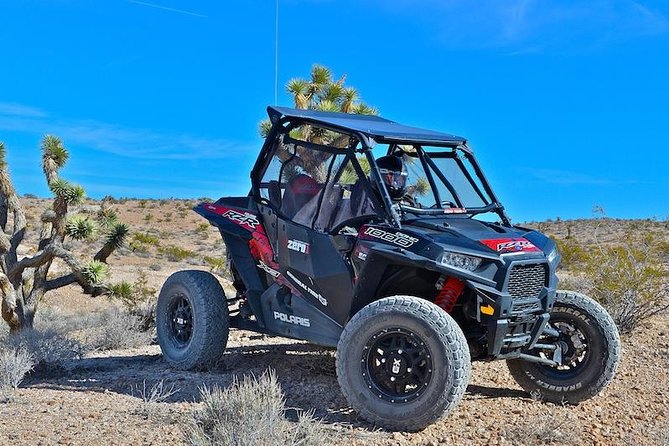 Mojave Desert Off Road RZR Tour in Las Vegas - The Experience in a Nutshell
