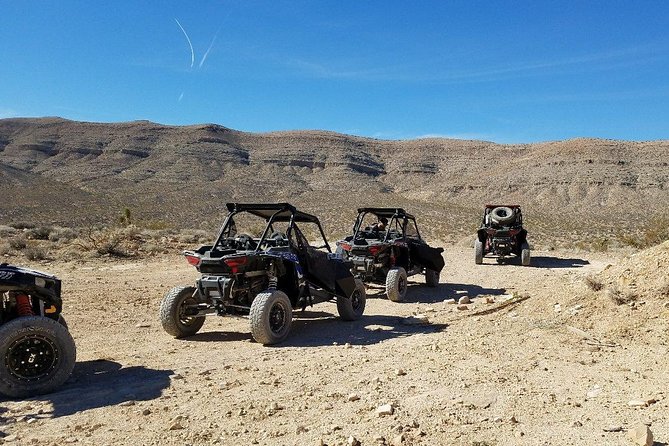 Mojave Desert Off Road RZR Tour in Las Vegas - Who Should Consider This Tour?