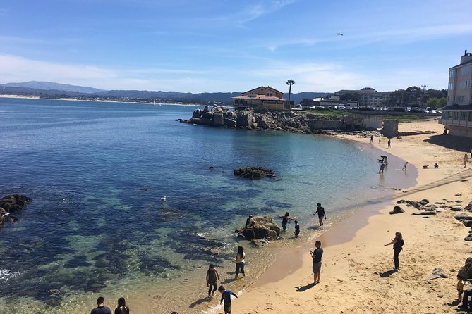 Monterey, Carmel and 17-Mile Drive: Full Day Tour from SF - Authentic Experiences & Real Traveler Insights