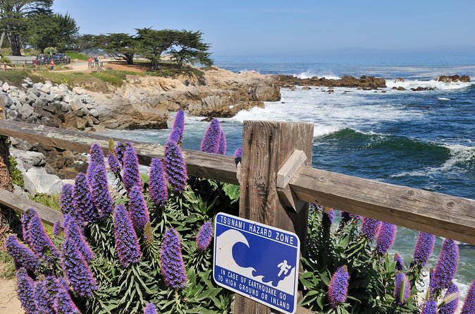 Monterey, Carmel and 17-Mile Drive: Full Day Tour from SF - FAQs