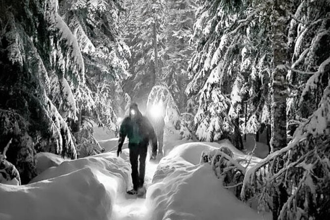 Moonlight Snowshoe Hike - The Sum Up