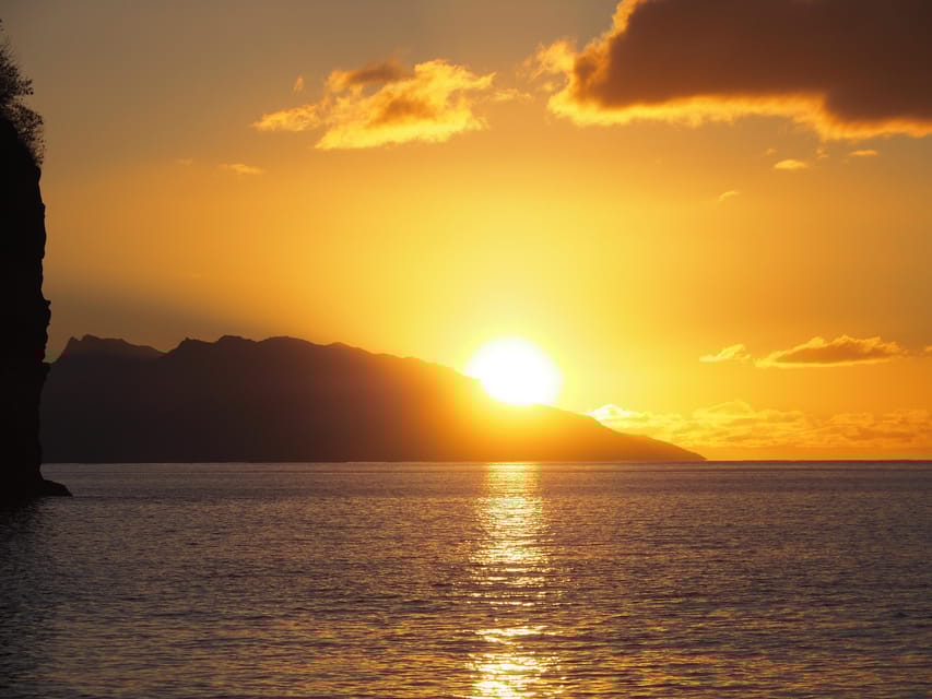 Moorea: Whale watching adventure - Key Points