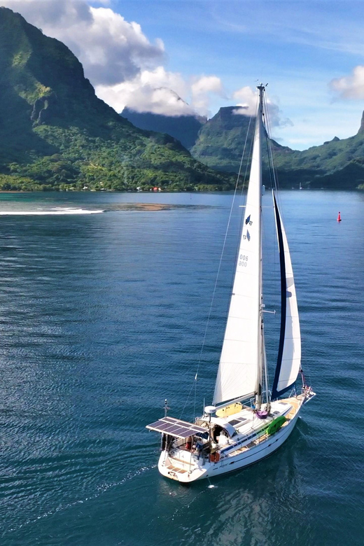Moorea: Whale watching adventure - Who Is This Tour Best For?