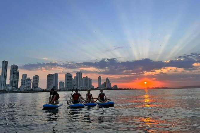 MORNING TOUR PaddleBoard or kayak - Final Thoughts: Who Should Book This Tour?