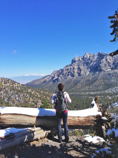 Mount Charleston Driving Adventure: Escape to Nature - Key Points