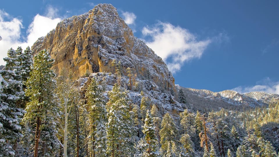 Mount Charleston Driving Adventure: Escape to Nature - Exploring the Route and What You Can Expect
