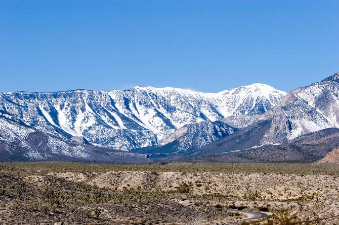 Mount Charleston Tour - What’s Included and What to Budget For