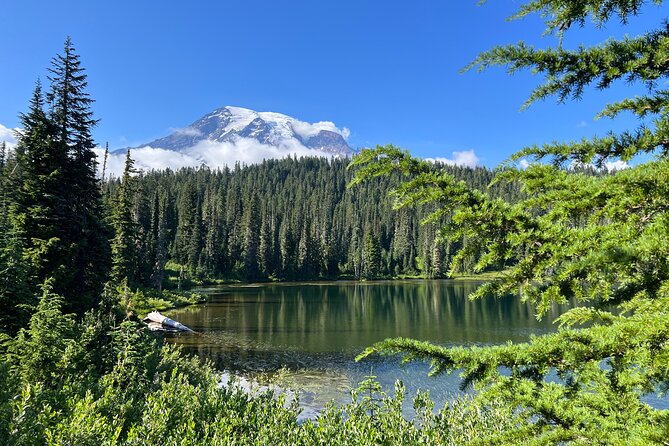 Mount Rainier Customized Tour from Seattle - Why This Tour Works
