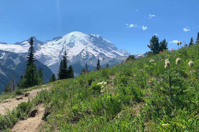Mount Rainier Full Day Private Tour and Hike - A Closer Look at the Mount Rainier Full Day Private Tour