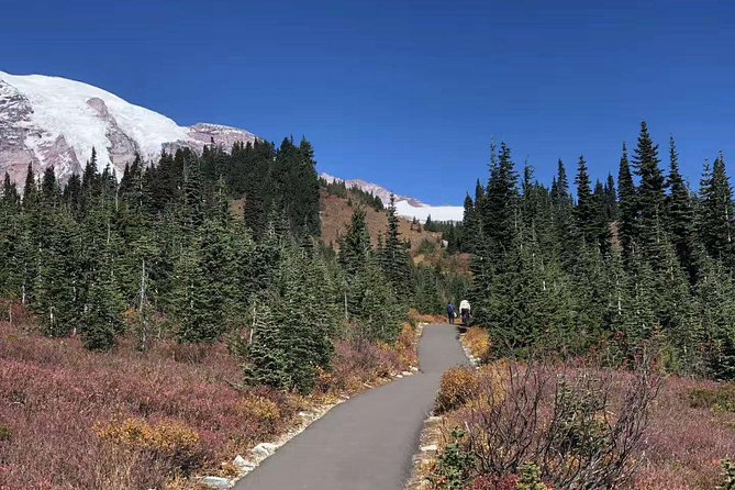 Mount Rainier National Park Day Tour from Seattle - The Practicalities: What You Need to Know