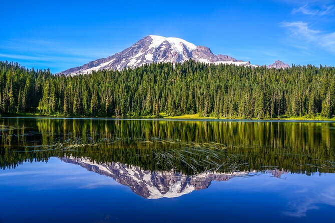 Mount Rainier National Park tour from Seattle - Why the Price is Justified