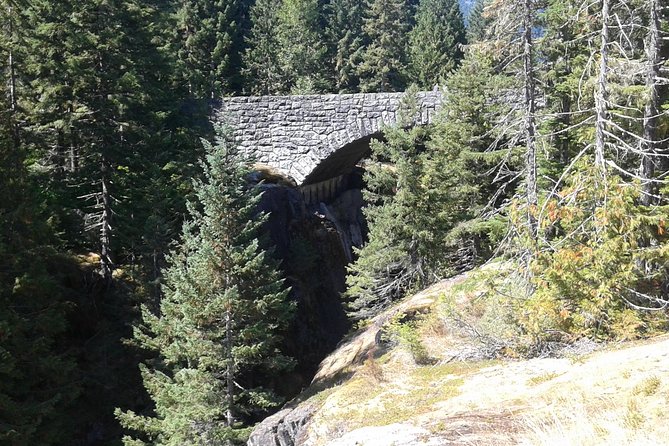 Mount Rainier Tour from Seattle - Transportation and Comfort