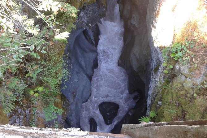 Mount Rainier Tour from Seattle - Whats Included and Whats Not