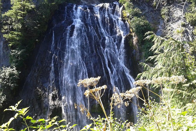 Mount Rainier Tour from Seattle - Authentic Experiences from Reviewers