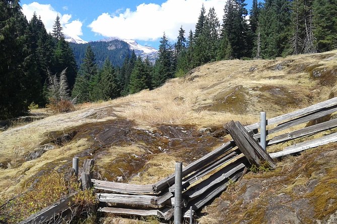 Mount Rainier Tour from Seattle - Who Will Love This Tour?