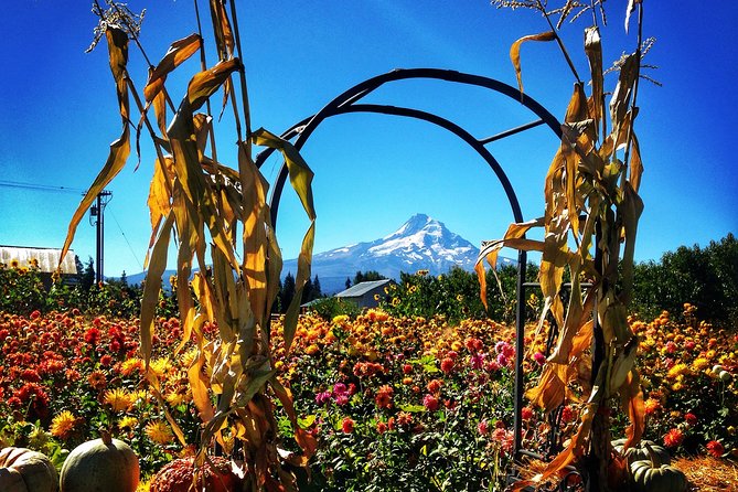 Mt Hood Loop Tour including Multnomah Falls - FAQ