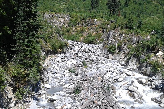 Mt Rainier Private Tour Experience in SUV - Exploring the Itinerary: What to Expect