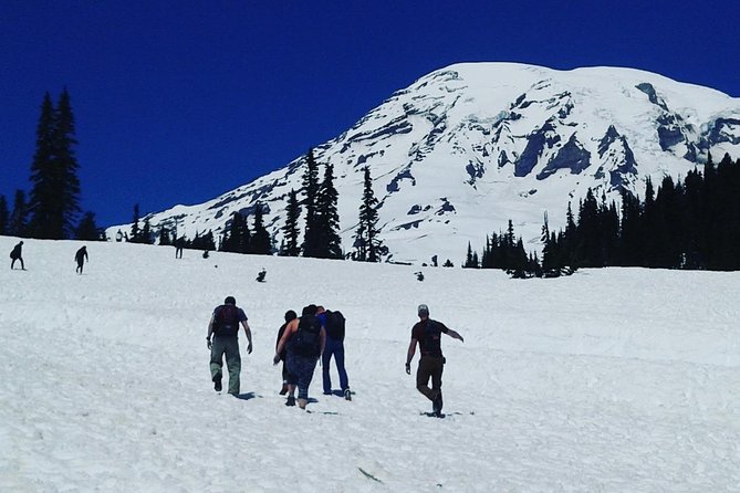 Mt Rainier Private Tour Experience in SUV - Authentic Experiences from Real Travelers