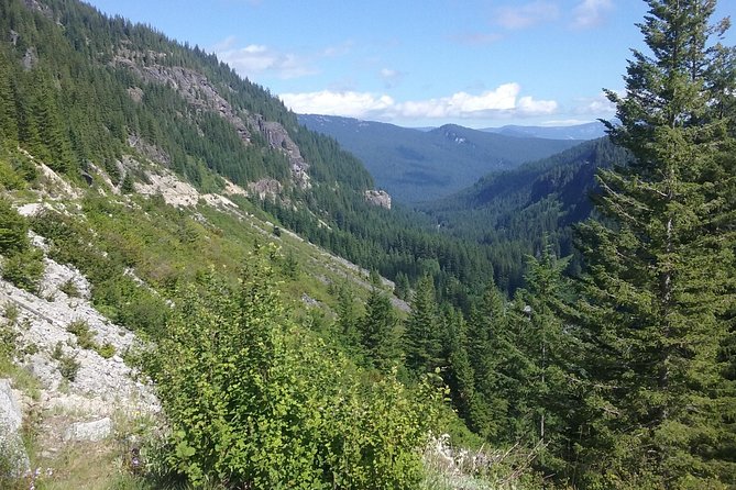 Mt Rainier Private Tour Experience in SUV - Final Thoughts: Who Should Consider This Tour?