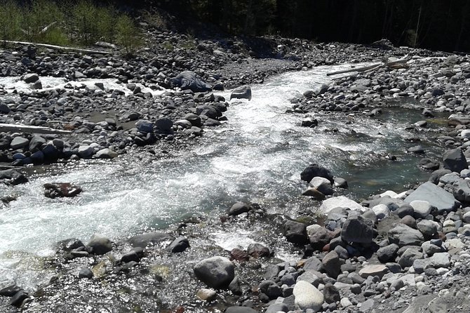 Mt Rainier Private Tour Experience in SUV - FAQ