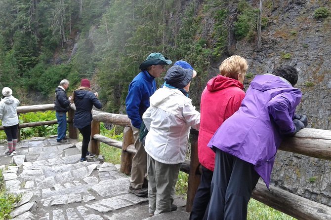 Mt Rainier Private Tour Experience in SUV - Closing Thoughts