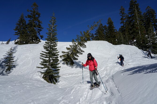 Mt. Shasta Snowshoeing Tours - Key Points