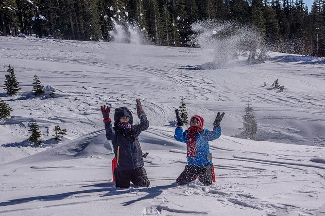 Mt. Shasta Snowshoeing Tours - Value for Money and Who It’s Best For