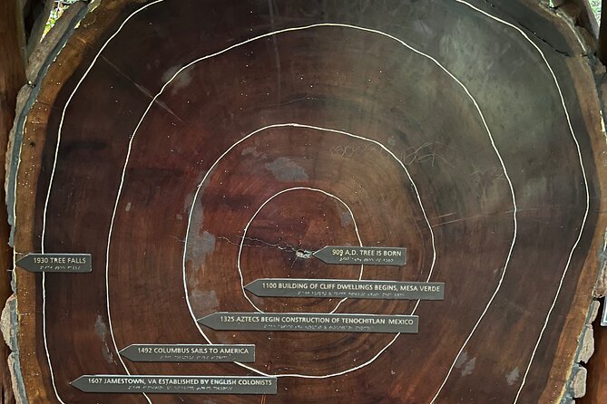 Muir Woods and Sausalito Private Tour - Transportation and Logistics: Why It Matters