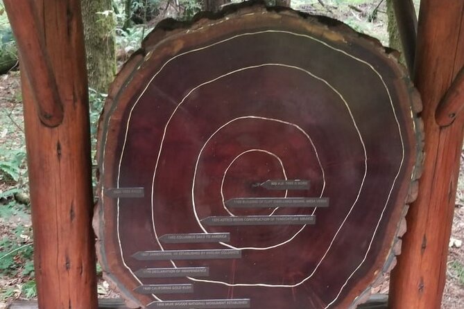 Muir Woods and Sausalito Tour Entrance Fee Included - Who Should Book This Tour?