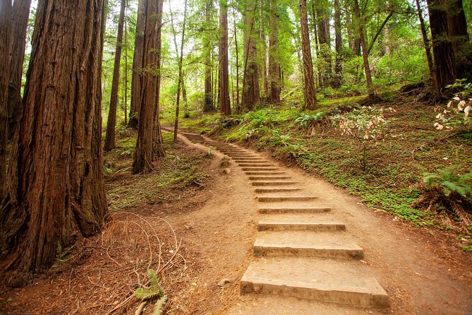 Muir Woods and Sausalito Tour Plus Bay Cruise - What to Expect: Practical Details