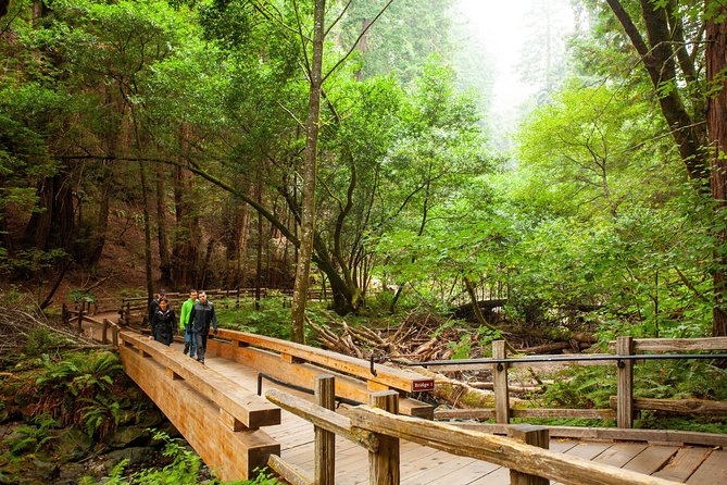 Muir Woods and Sausalito Tour Plus Bay Cruise - Authentic Experiences from Real Travelers