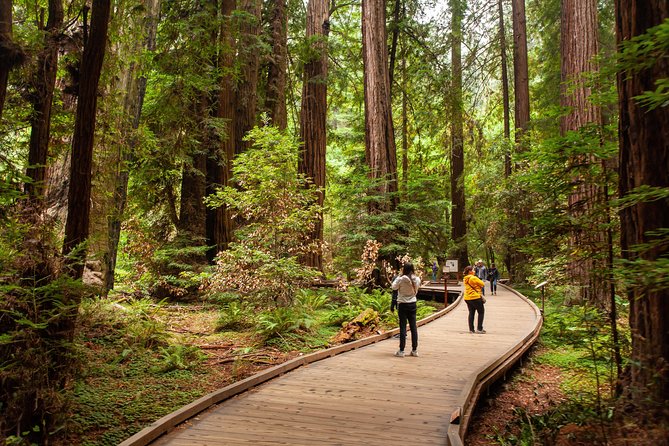 Muir Woods and Sausalito Tour Plus Bay Cruise - The Sum Up: Who Is This Tour Best For?
